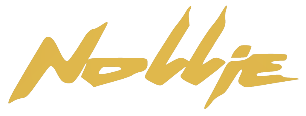 How to setup OpenRGB and Effects Engine Plugin - Nollie